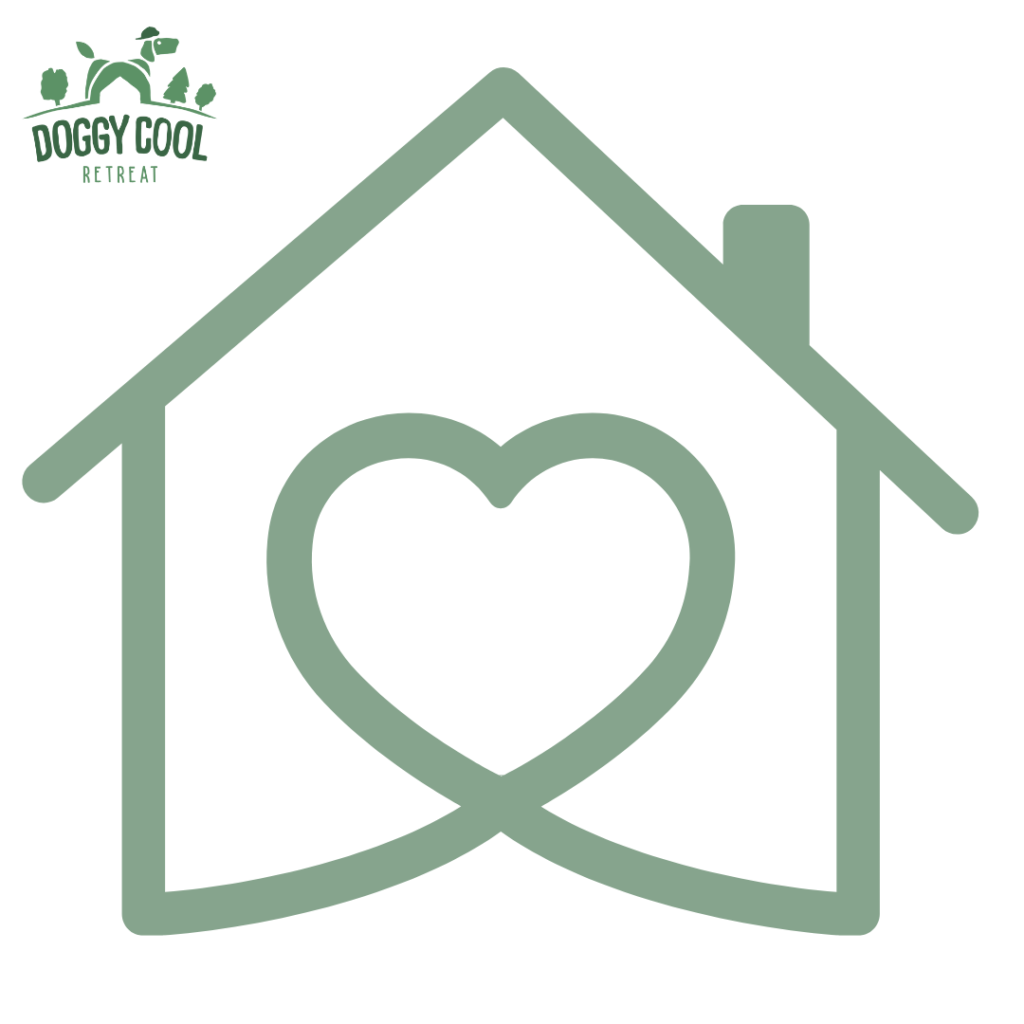 Boarding at Doggy Cool Daycare – Doggy Cool Daycare and Boarding